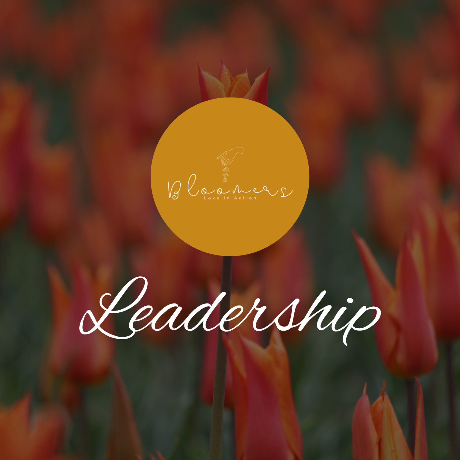 Leadership Department – Bloomers Community